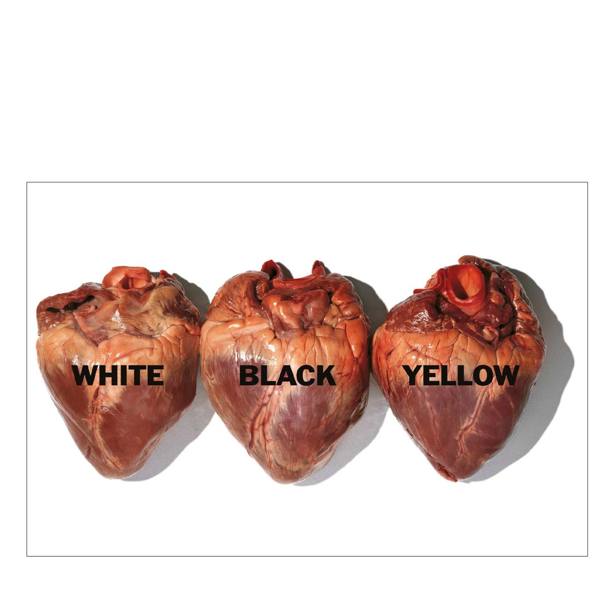 Oliviero Toscani 1942 2025 | SpazioLiberoBlog
